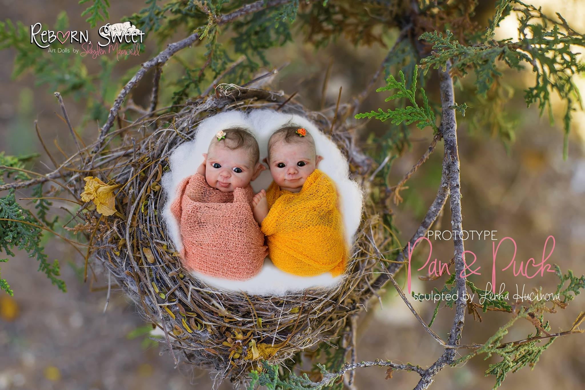 Puck Reborn Elf Doll Kit by Lenka Polacek Hucinova >>kit Only unpainted
