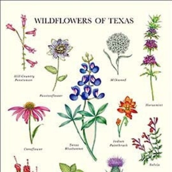 Texas Wildflowers - Etsy