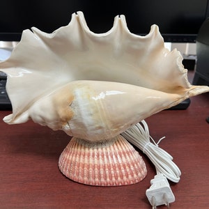 Conch SHELL Nautical Beach Decor NIGHTLIGHT LAMP - Etsy