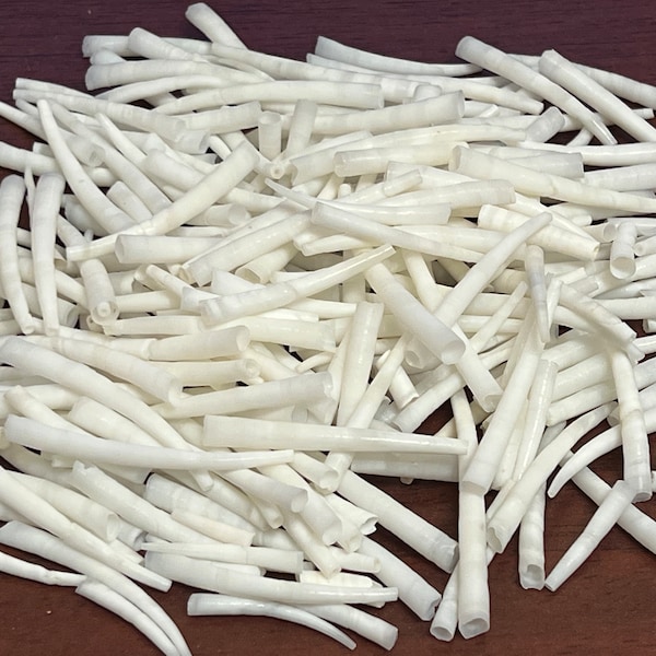 Dentilliums Earrings - Etsy