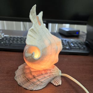 Conch SHELL Nautical Beach Decor NIGHTLIGHT LAMP - Etsy