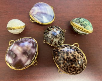 6 Pieces Assorted Clam Shell Coin Trinket Purse - Etsy