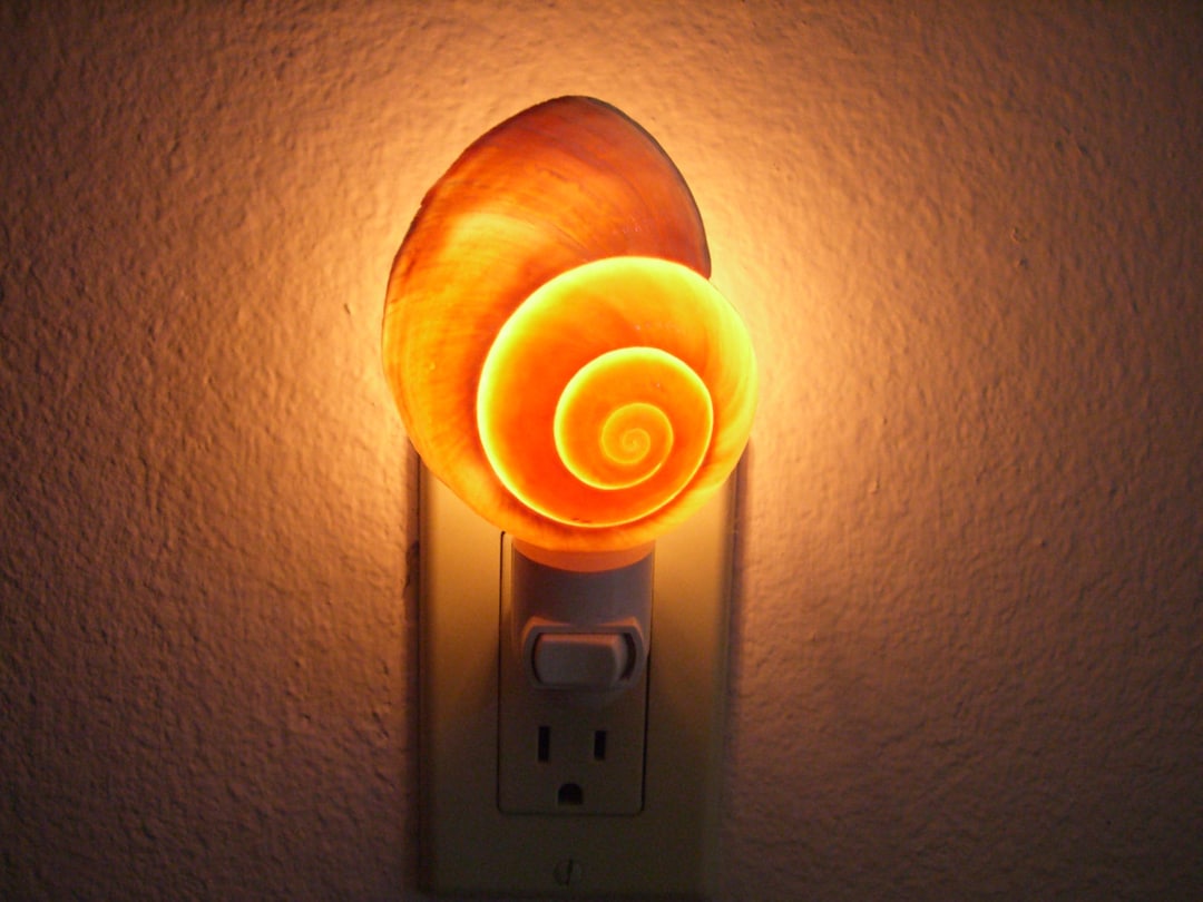 Brown Snail Sea SHELL Nautical Beach Decor NIGHTLIGHT - Etsy
