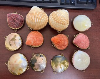 Shell Coin Purse | Etsy