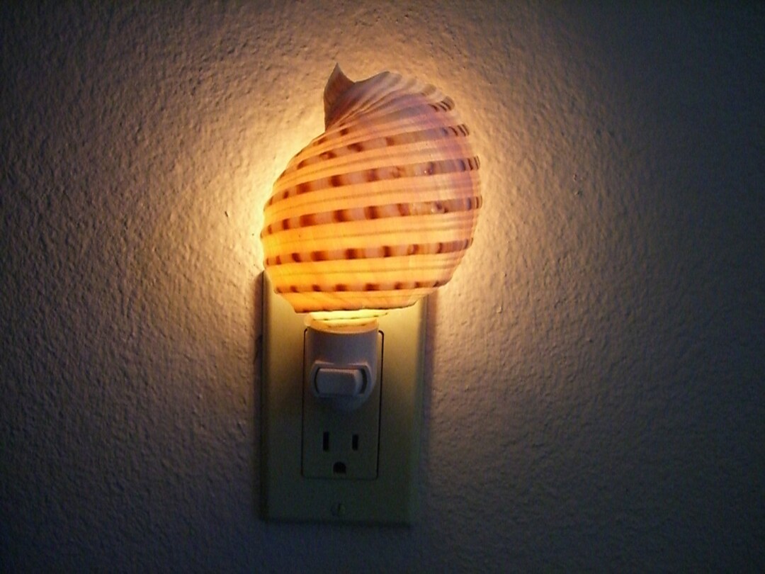 Brown Spotted Banded Tun Sea SHELL Nautical Beach Decor NIGHTLIGHT - Etsy