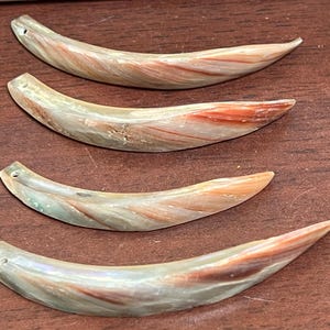 100 Pieces Red Abalone Tusk Pendant Jewelry Craft 2-3" - Etsy
