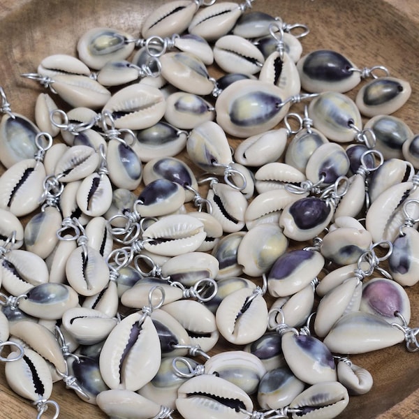 Purple Cowrie - Etsy