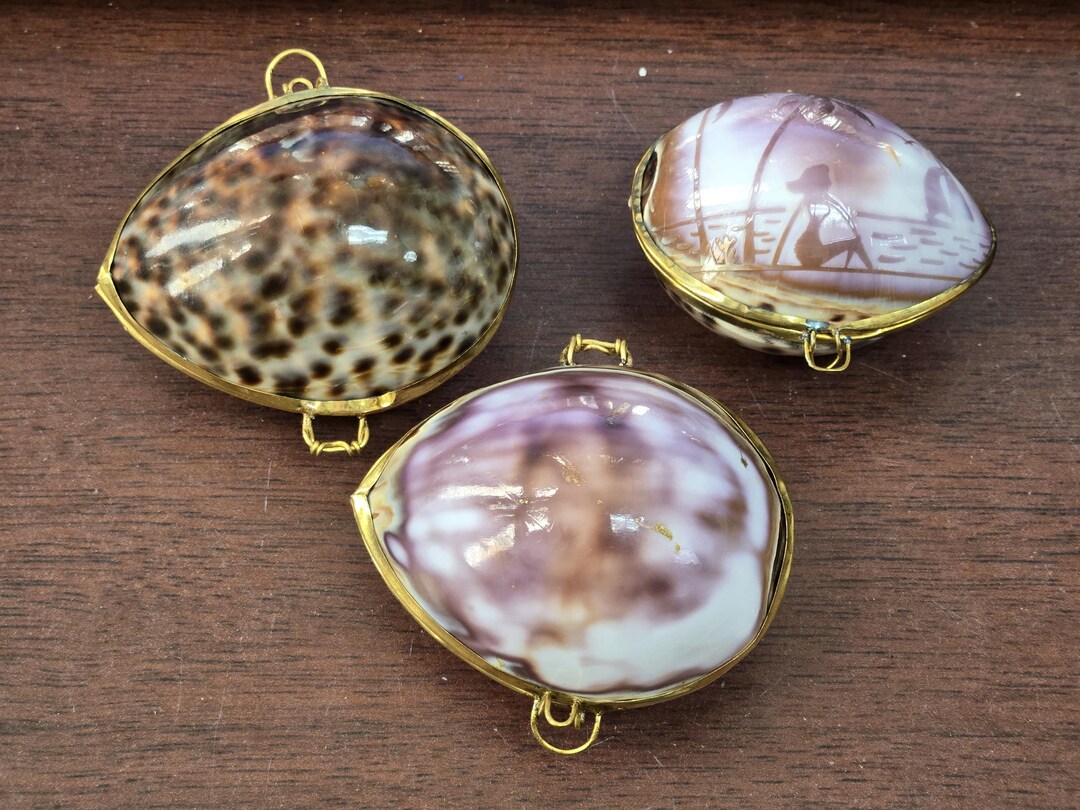 150 Pieces Assorted Tiger Purple Cowrie Shell Purse - Etsy
