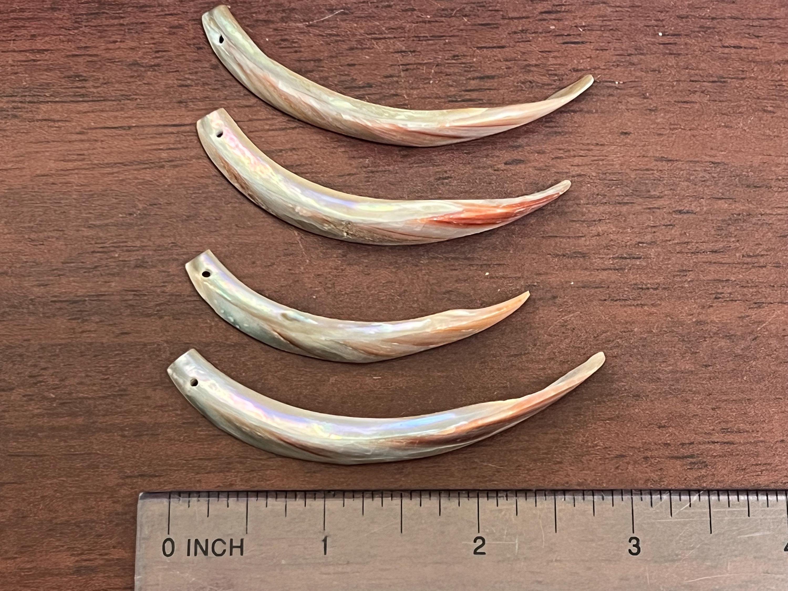 100 Pieces Red Abalone Tusk Pendant Jewelry Craft 2-3" - Etsy