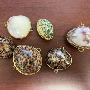 6 Pieces Assorted Clam Shell Coin Trinket Purse - Etsy