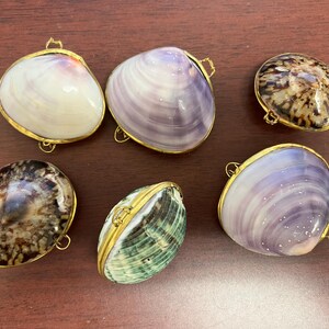 6 Pieces Assorted Clam Shell Coin Trinket Purse - Etsy