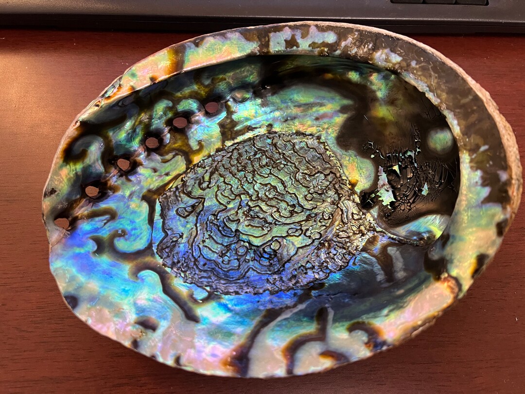 Very Large BLUE GREEN ABALONE Shell Smudge Kit Spiritual Cleansing 7 ...