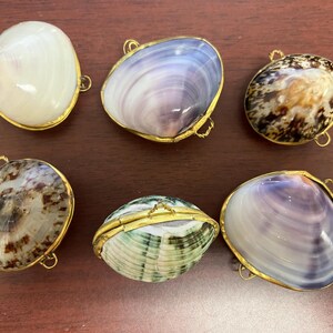 6 Pieces Assorted Clam Shell Coin Trinket Purse - Etsy