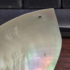 White Polished Pearlized Nautilus Center Sliced Decorative Nautical ...