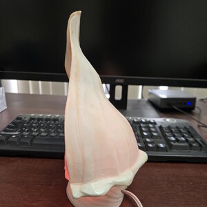 Whelk Sea SHELL Nautical Beach Decor NIGHTLIGHT LAMP - Etsy