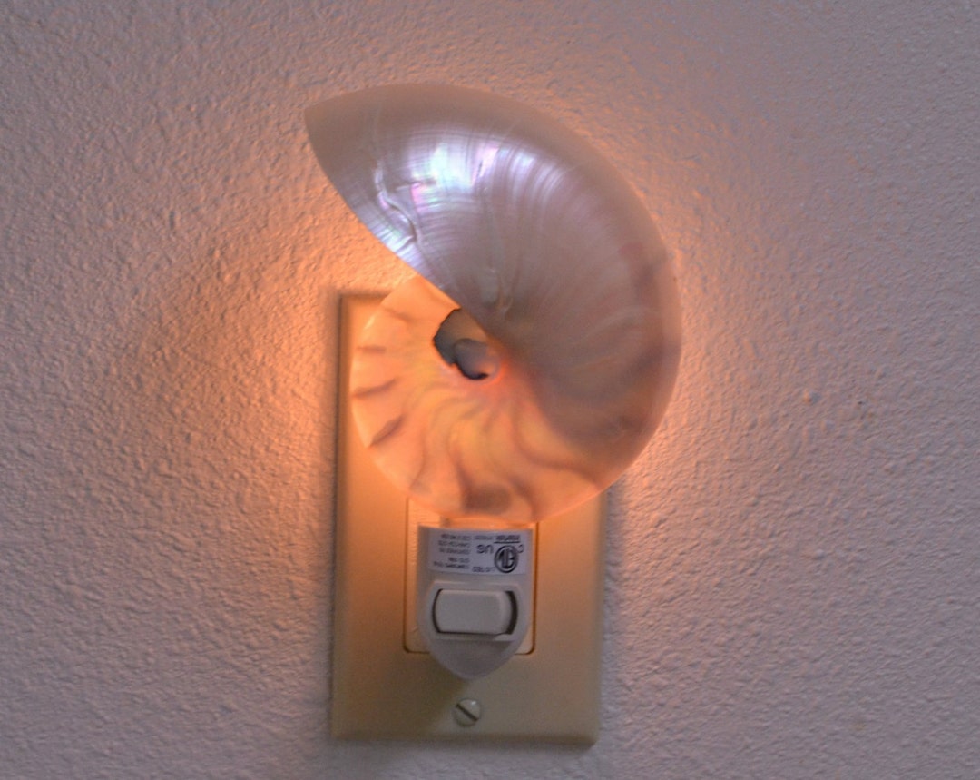White Nautilus Sea SHELL Nautical Beach Decor NIGHTLIGHT - Etsy