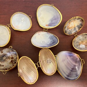 6 Pieces Assorted Clam Shell Coin Trinket Purse - Etsy