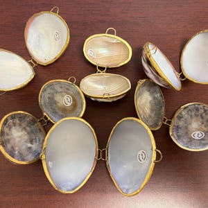 6 Pieces Assorted Clam Shell Coin Trinket Purse - Etsy