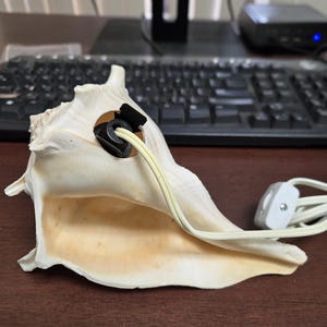 Whelk Sea SHELL Nautical Beach Decor NIGHTLIGHT LAMP - Etsy