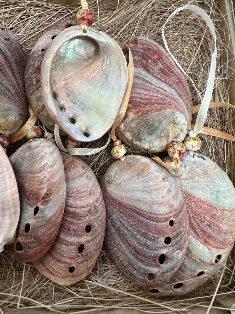 12 Pcs Red ABALONE SHELL ORNAMENT Nautical Decor - Etsy