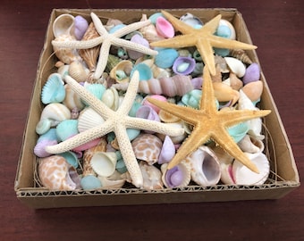 Sea Shells Starfish | Etsy