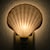 Scallop Sea SHELL Nautical Beach Decor NIGHTLIGHT - Etsy