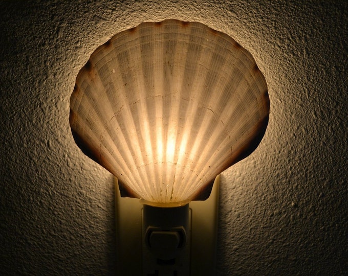 Scallop Sea SHELL Nautical Beach Decor NIGHTLIGHT S7-348 - Etsy