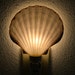 Scallop Sea SHELL Nautical Beach Decor NIGHTLIGHT - Etsy