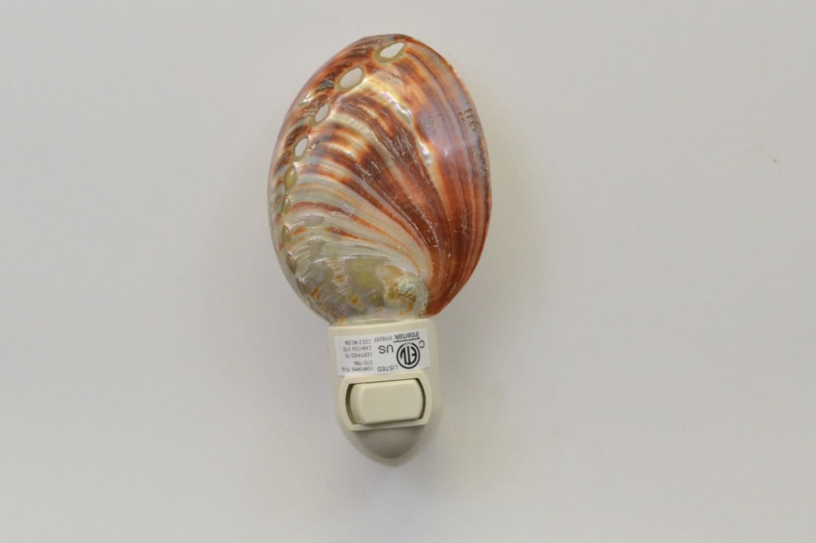 Red Abalone Sea SHELL Nautical Beach Decor NIGHTLIGHT - Etsy