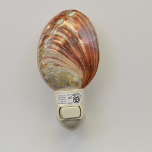 Red Abalone Sea SHELL Nautical Beach Decor NIGHTLIGHT - Etsy