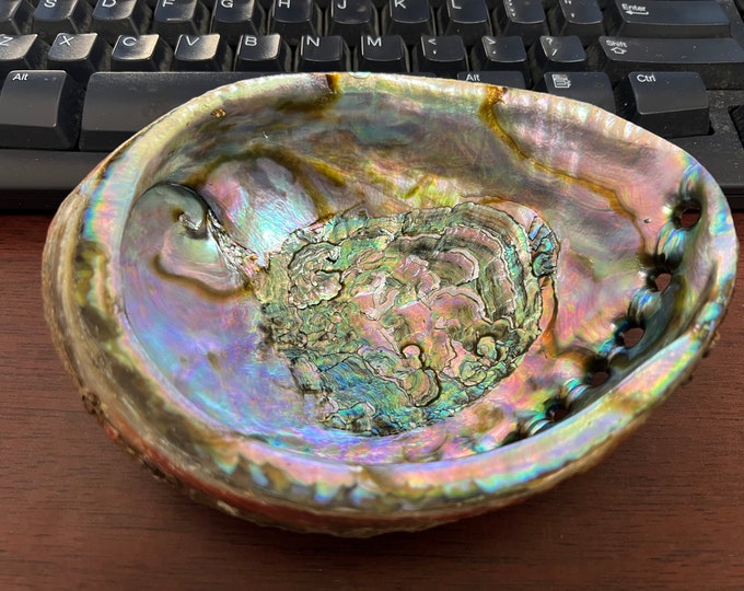 Large Beautiful Abalone Shell Made for Smudging or Decor, Smudging Bowl ...
