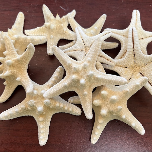 Starfish Decorations - Etsy