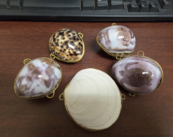 5 Pieces Assorted Clam Shell Coin Trinket Purse - Etsy