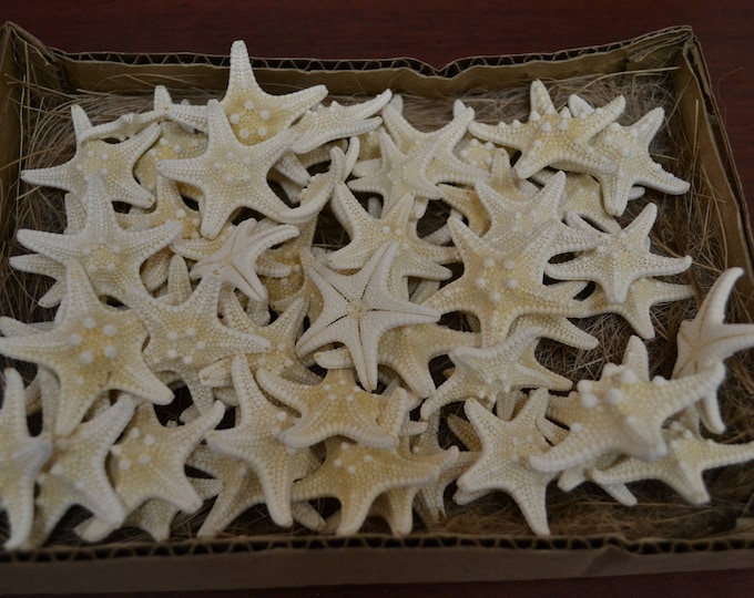 25 Pcs White Bleached Knobby Starfish Decorations Beach Ocean 1-2" - Etsy