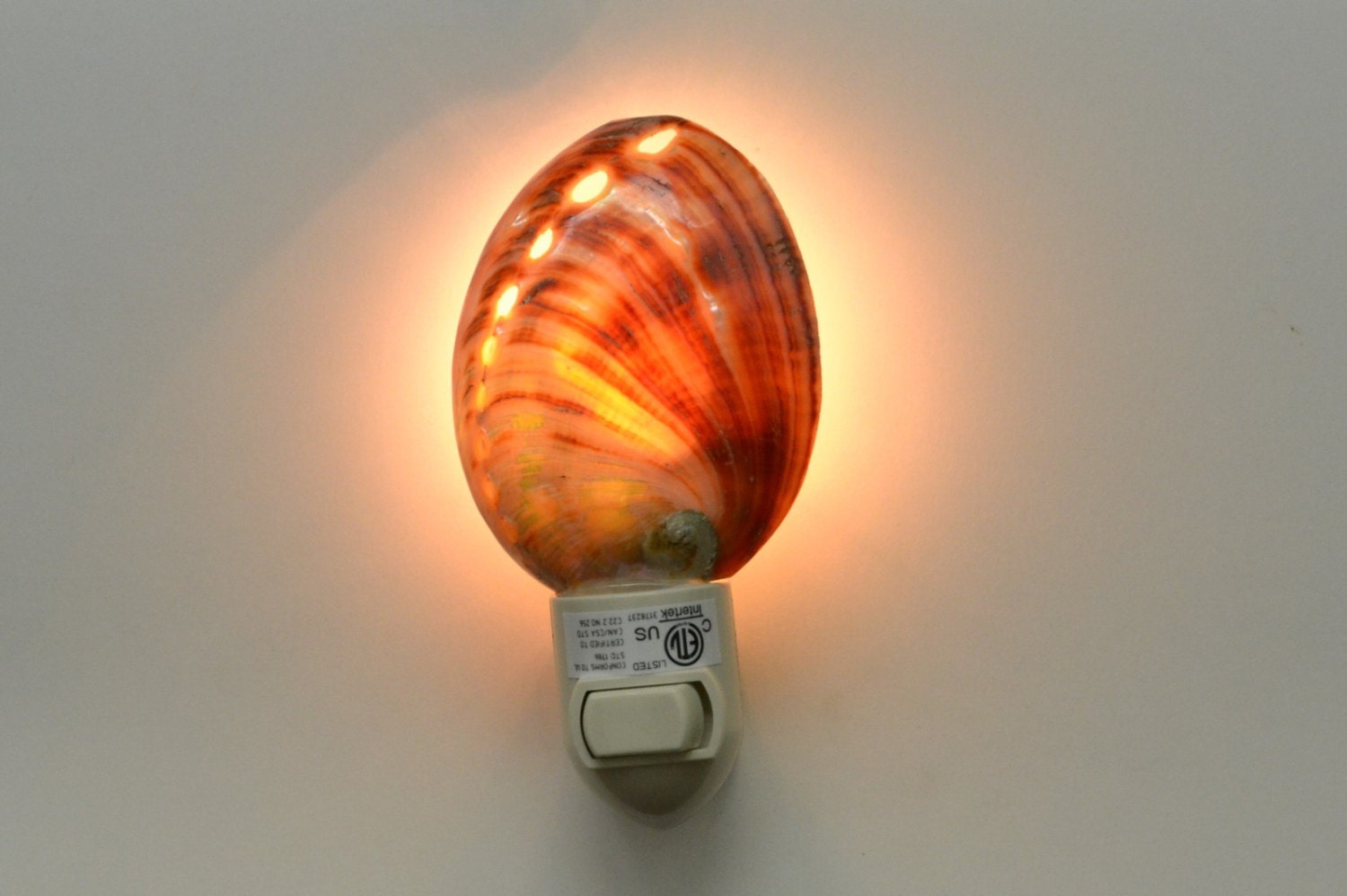 Red Abalone Sea SHELL Nautical Beach Decor NIGHTLIGHT S7-202 - Etsy