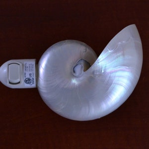 White Nautilus Sea SHELL Nautical Beach Decor NIGHTLIGHT - Etsy