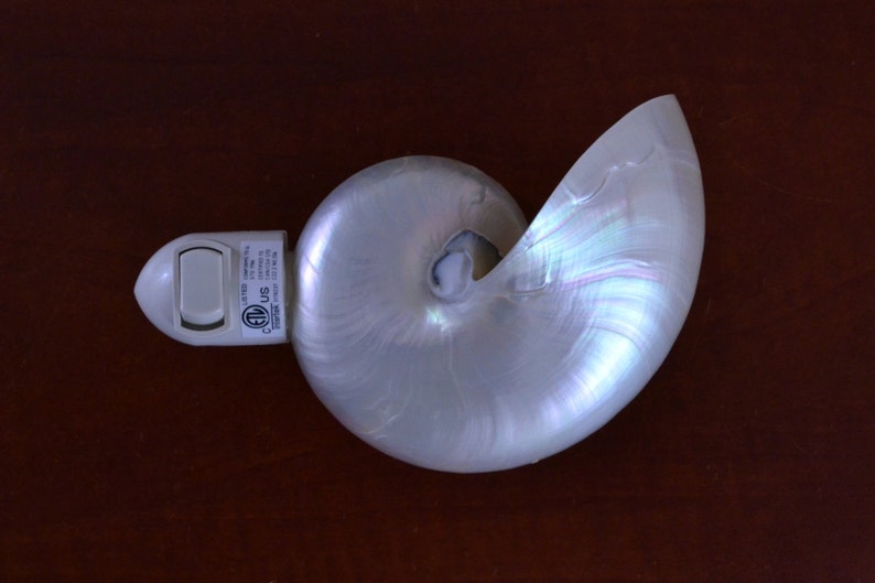 White Nautilus Sea SHELL Nautical Beach Decor NIGHTLIGHT - Etsy