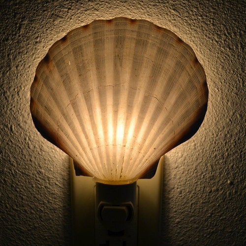 Scallop Sea SHELL Nautical Beach Decor NIGHTLIGHT S7-348 - Etsy