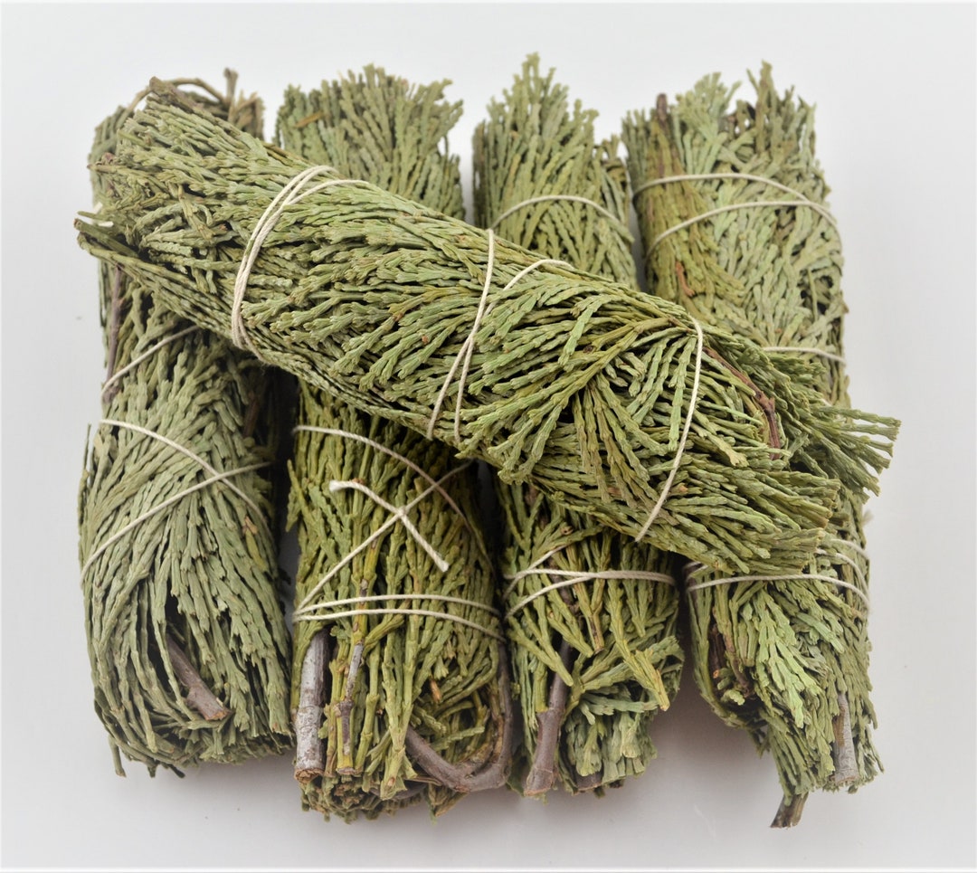 5 Pcs Cedar Stick Smudge Kit Spiritual Cleansing - Etsy