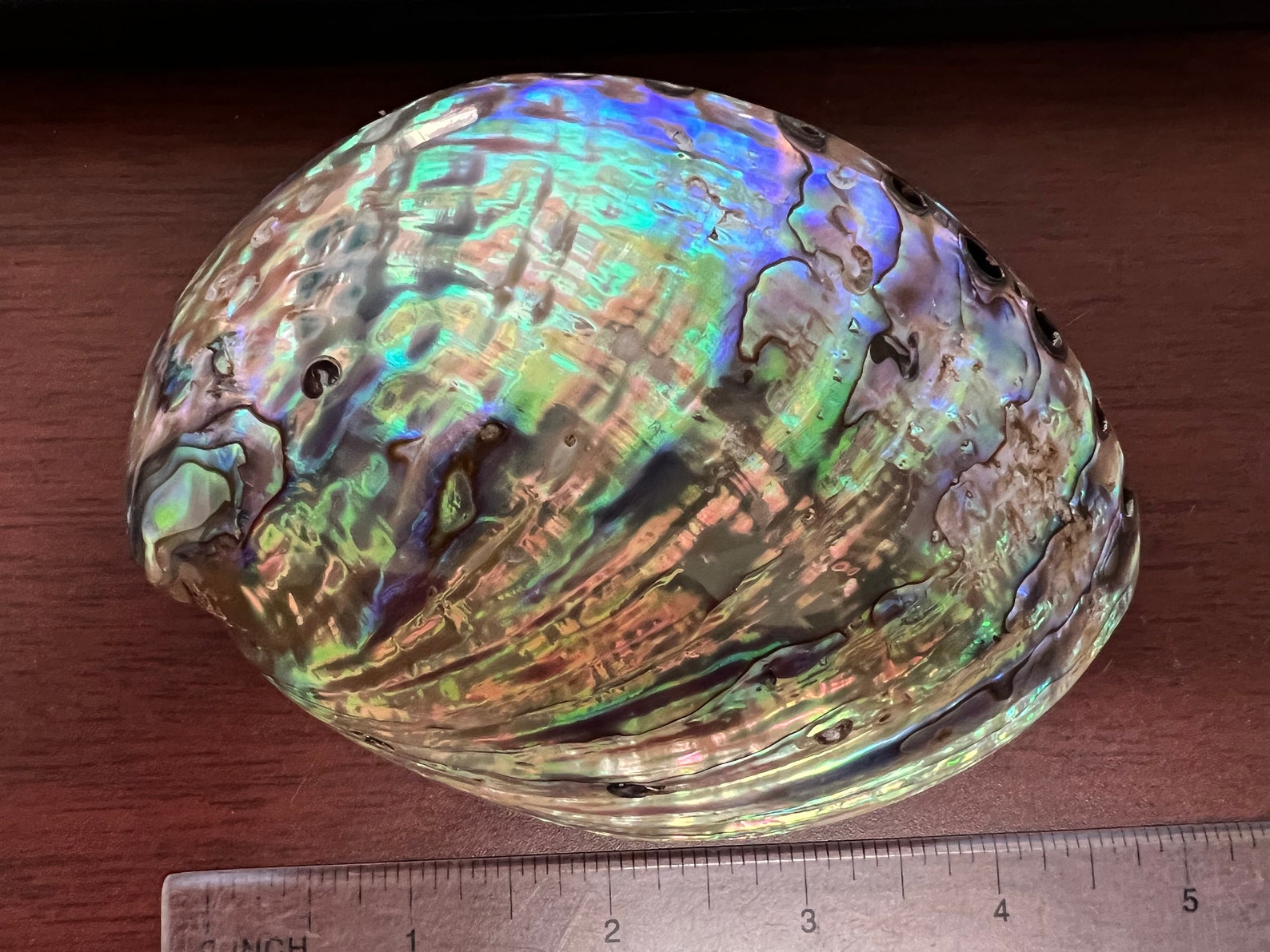 Very Large BLUE GREEN ABALONE Shell Smudge Kit Spiritual - Etsy