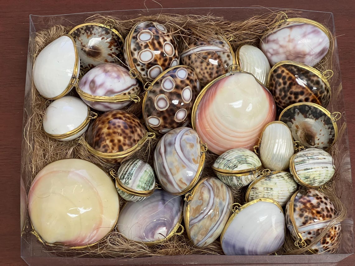 24 Pieces Assorted Pecten Clam Shell Coin Trinket Purse - Etsy