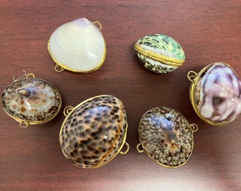 6 Pieces Assorted Clam Shell Coin Trinket Purse - Etsy