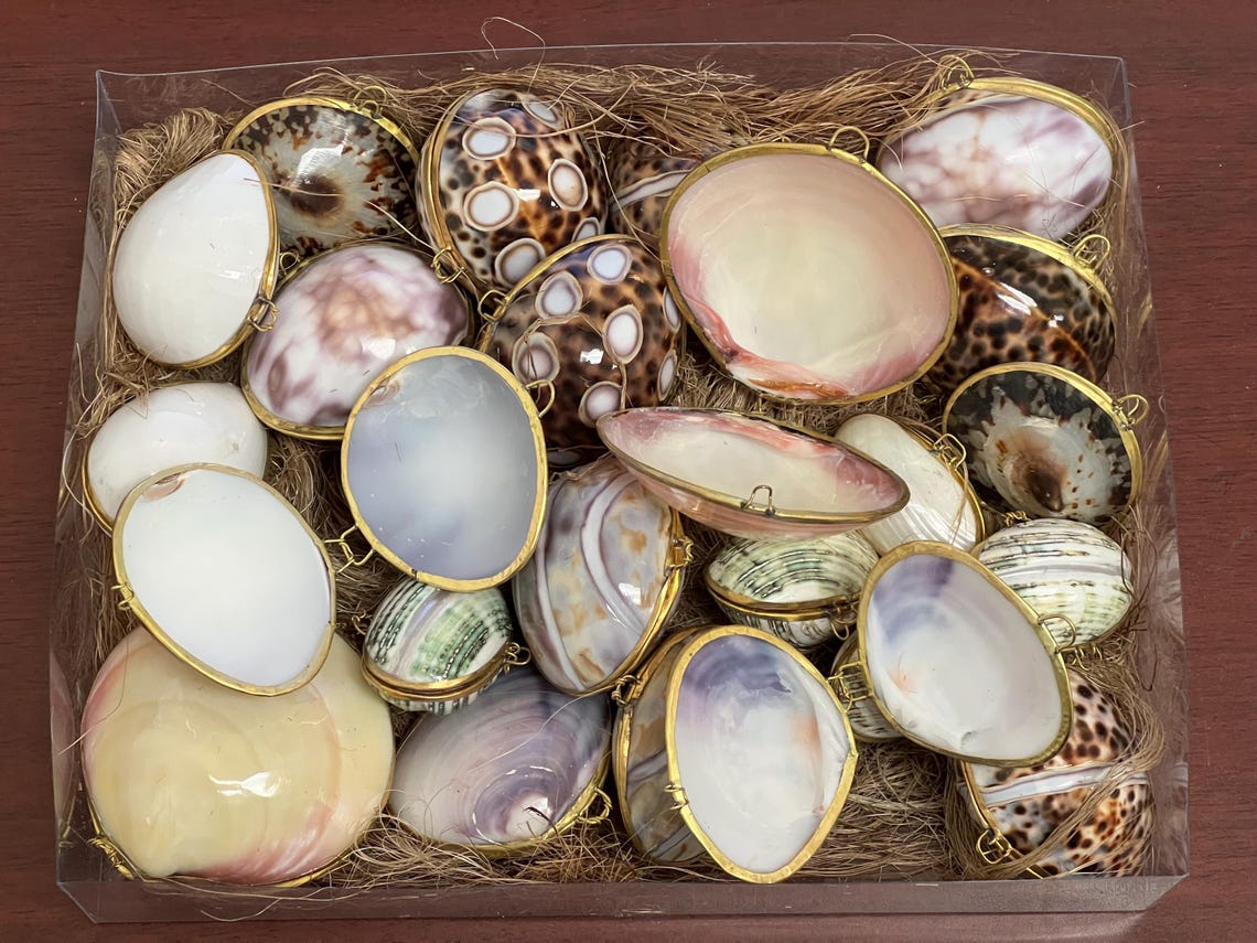24 Pieces Assorted Pecten Clam Shell Coin Trinket Purse - Etsy