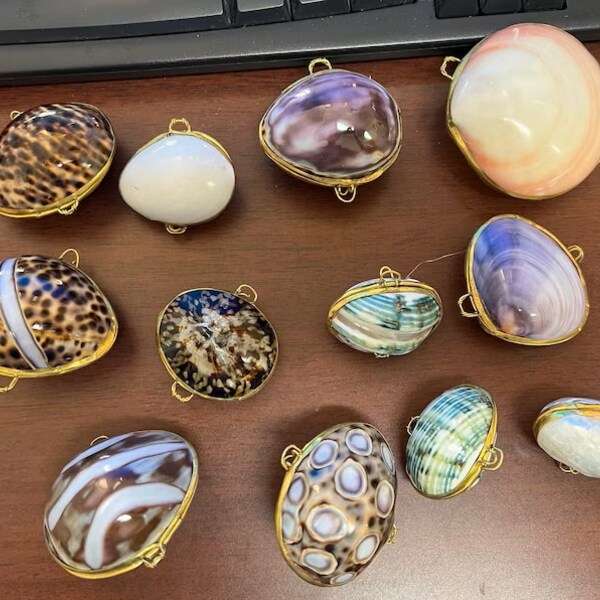 Shell Coin Purse - Etsy