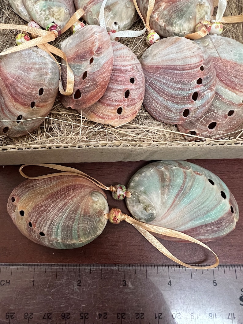 12 Pcs Red ABALONE SHELL ORNAMENT Nautical Decor - Etsy