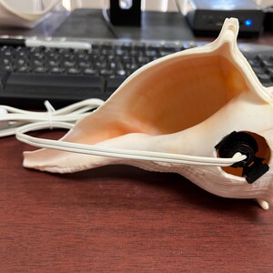 Whelk Sea SHELL Nautical Beach Decor NIGHTLIGHT LAMP - Etsy