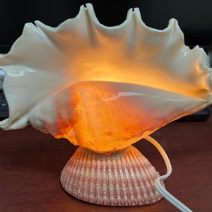 Conch SHELL Nautical Beach Decor NIGHTLIGHT LAMP - Etsy