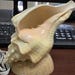 West Indian Shanka SHELL Nautical Beach Decor NIGHTLIGHT LAMP - Etsy