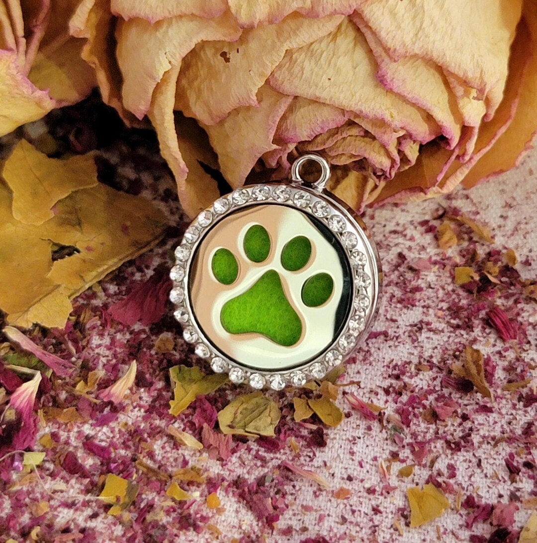 Memorial Locket Funeral Ash Hair Flowers Paw Print Necklace or Keychain ...