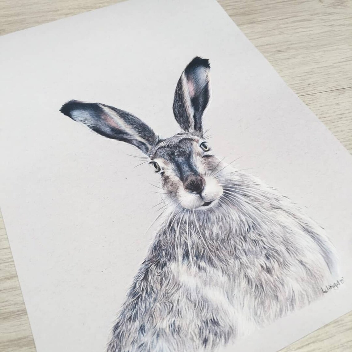 Hare Print A4 Size - Etsy